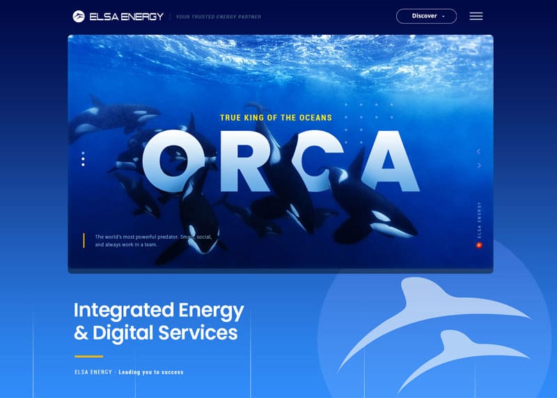 Web Design Service for Elsa Energy Sdn Bhd